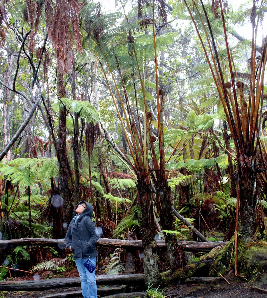 Native Hawaiian Plants: An Overview | Studia Mirabilium
